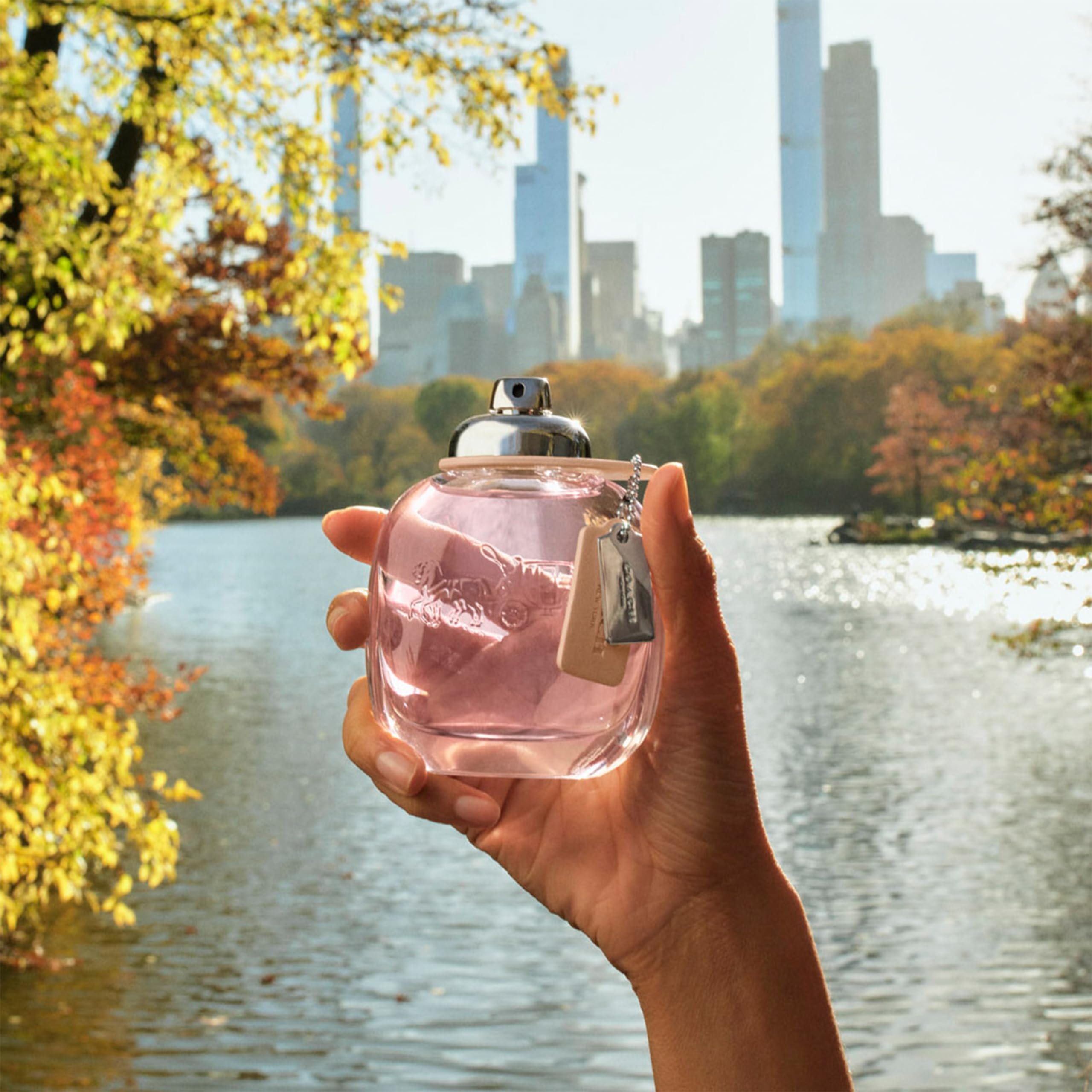 Coach Signature Eau de Parfum 1.7oz Spray
