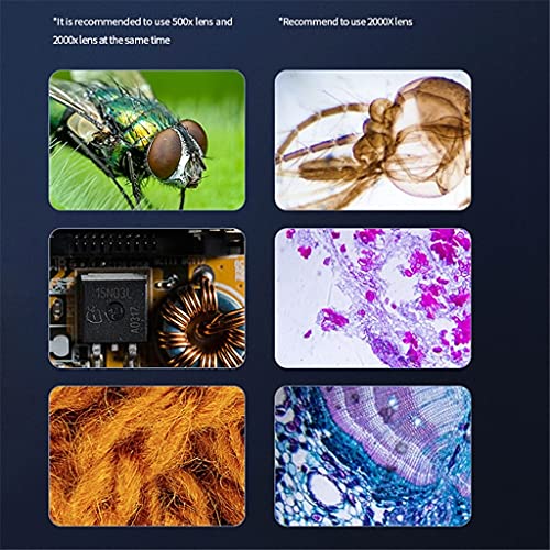 LXXSH 2000x WiFi Dual Lens Electronics Digital Microscope USB Phone PC Video Microscope for Microbial Observation