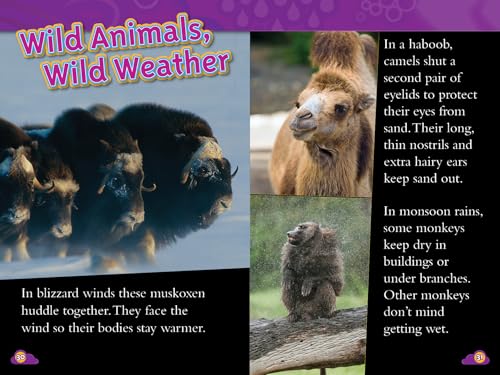 Storms (National Geographic Kids Explore! Readers, Level 1) (National Geographic Kids Readers)