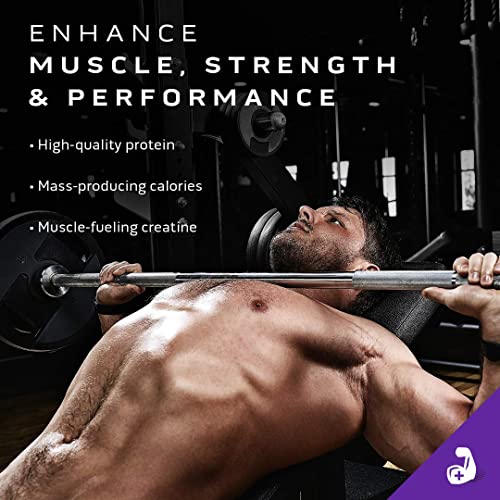 Mass Gainer, MuscleTech 100% Mass Gainer Protein Powder, Protein Powder for Muscle Gain, Whey Protein + Muscle Builder, Weight Gainer Protein Powder, Creatine Supplements, Chocolate, 5.15 lbs