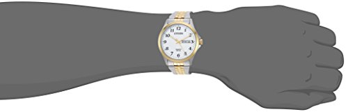 Citizen Quartz Mens Watch, Stainless Steel, Classic, Two-Tone (Model: BF5004-93A)