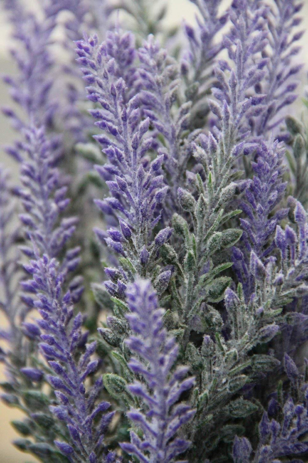 chuangxindaye Artificial Mini Potted Flowers Plant Lavender for Home Decor Party Wedding Garden Office Patio Decoration (Ceramics 2set)