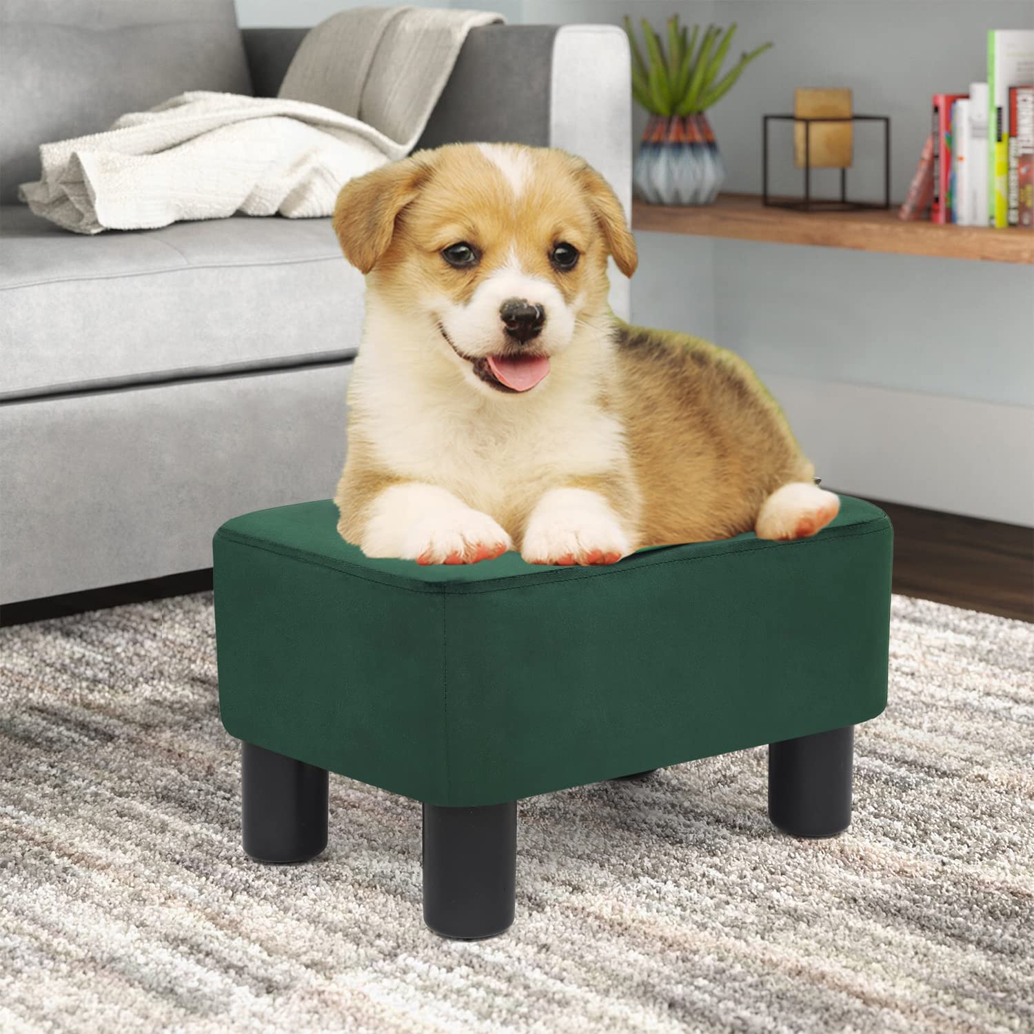 Joveco Small Footstool Ottoman Fabric Footrest Modern Rectangular Footstools for Living Room Bedroom (Green)