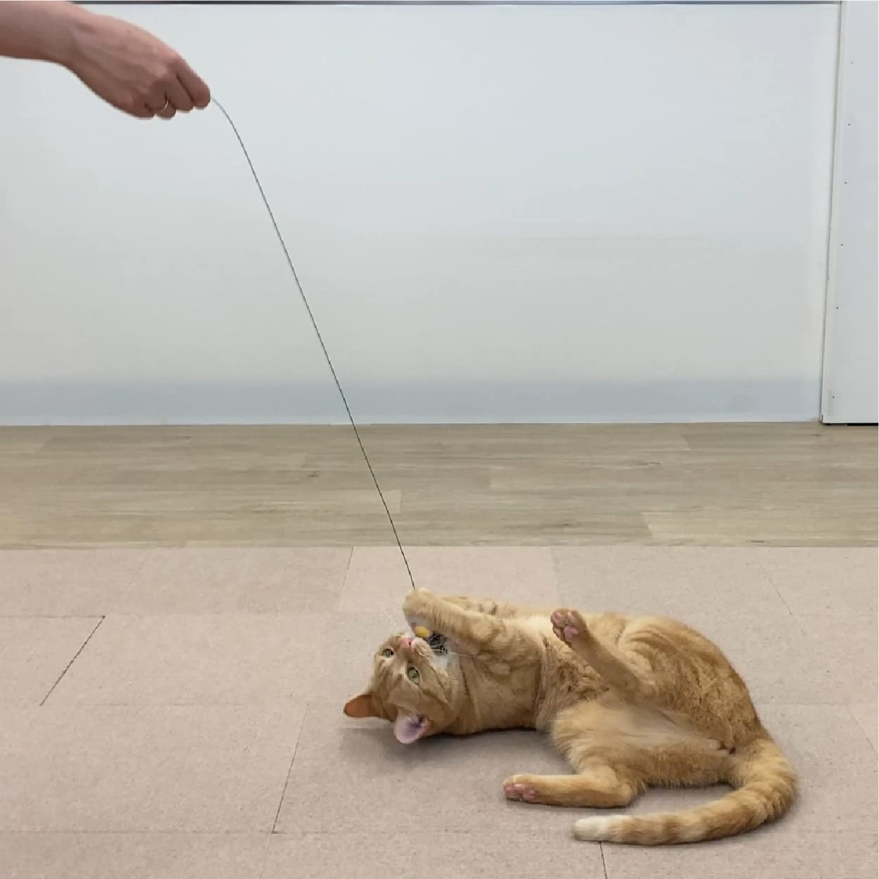 CATTYMAN Jareneko Long Wired Honey Bee Made in Japan