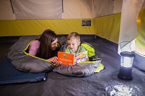 Cedar Ridge Alloy +20° Sleeping Bag - Gray/Citrus