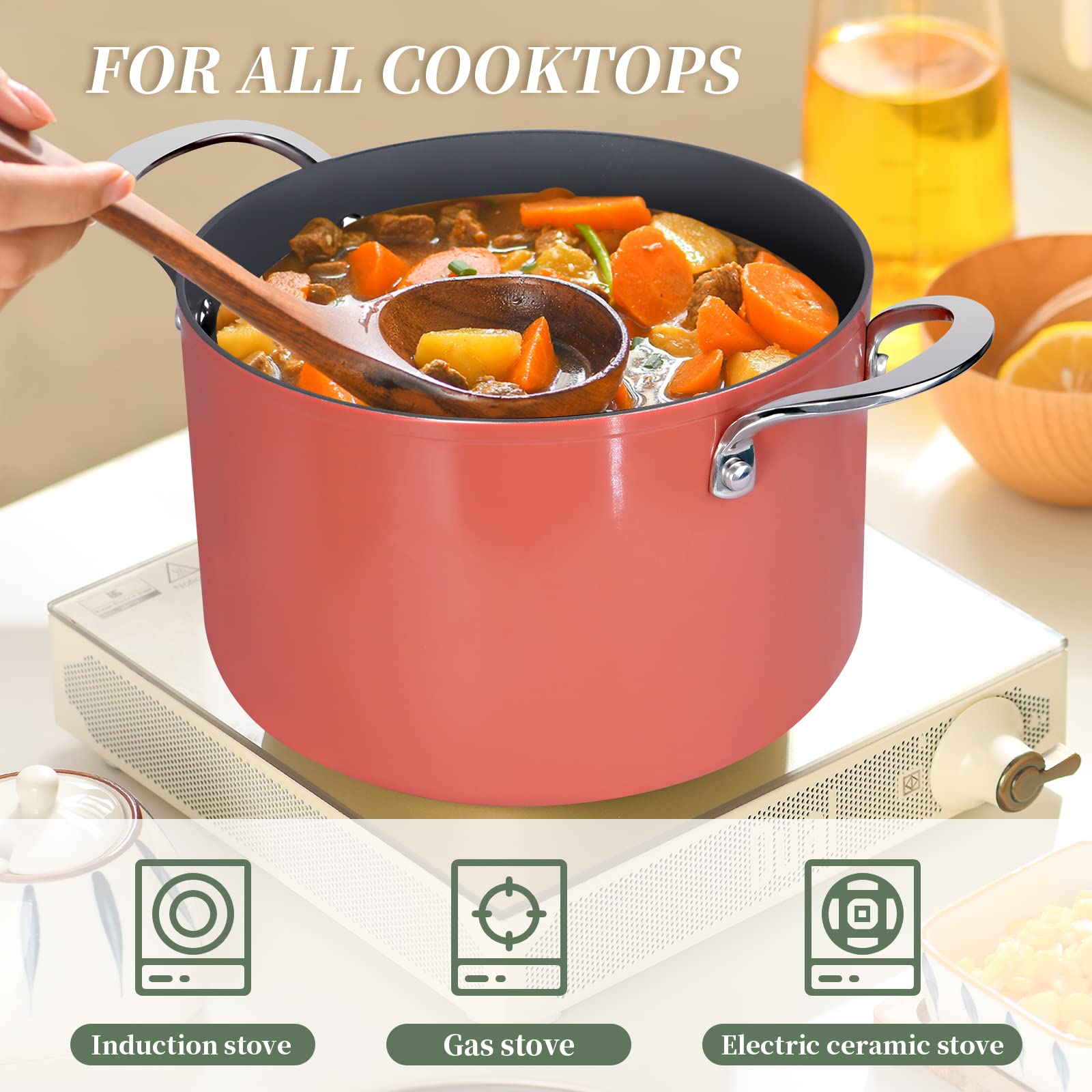 Flamingpan 5.5 Quart Nonstick Stock Pot, Ceramic CoatingStockpot, Casserole Oven Safe & Easy to Clean,Stock Pot Suitable for Any Cooktop & Dishwasher,Durable for Using, Pot for Kitchen & Dinning