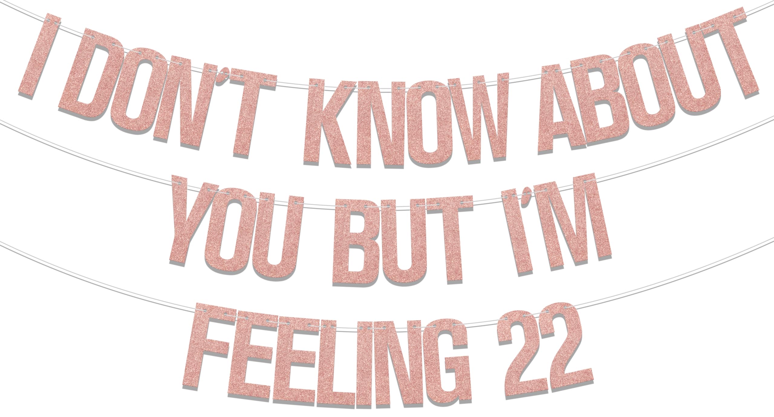 I Don't Know About You But I'm Feeling 22 Banner,I'm Feeling 22 Banner,22nd Birthday Party Decorations,Funny Happy 22nd Birthday Party Decor,Cheers to 22 Years Old Anniversary Party Supplies Rose Gold