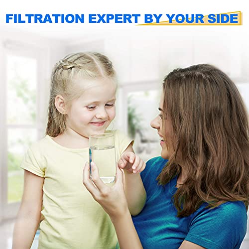 GOLDEN ICEPURE 1 Micron 2.5" x 10" Whole House CTO Carbon Sediment Water Filter Compatible with Dupont WFPFC8002, WFPFC9001, FXWTC, Culligan P5-D, WHCF-WHWC, D-10A, DWC30001, SCWH-5, 4PACK