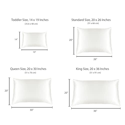MYK Silk 25 Momme Luxury Mulberry Silk Pillowcase, Oeko-TEX Certified, Hypoallegernic, Hair and Skin Care, Curly Friendly Essentials, Beige, Standard