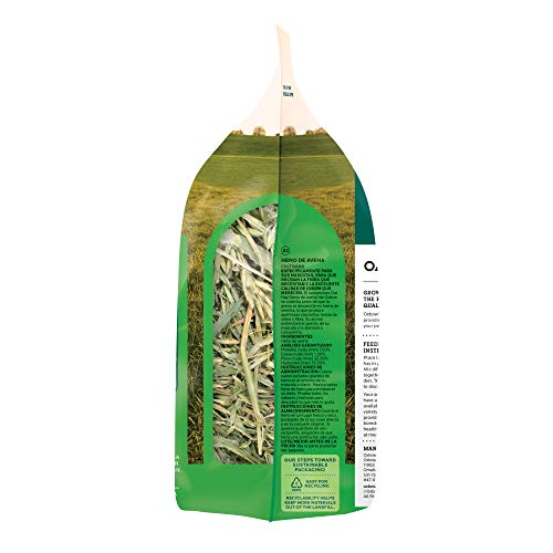 Oxbow Animal Health Oat Hay - All Natural Hay for Rabbits, Guinea Pigs, Chinchillas, Hamsters & Gerbils - 15 oz.