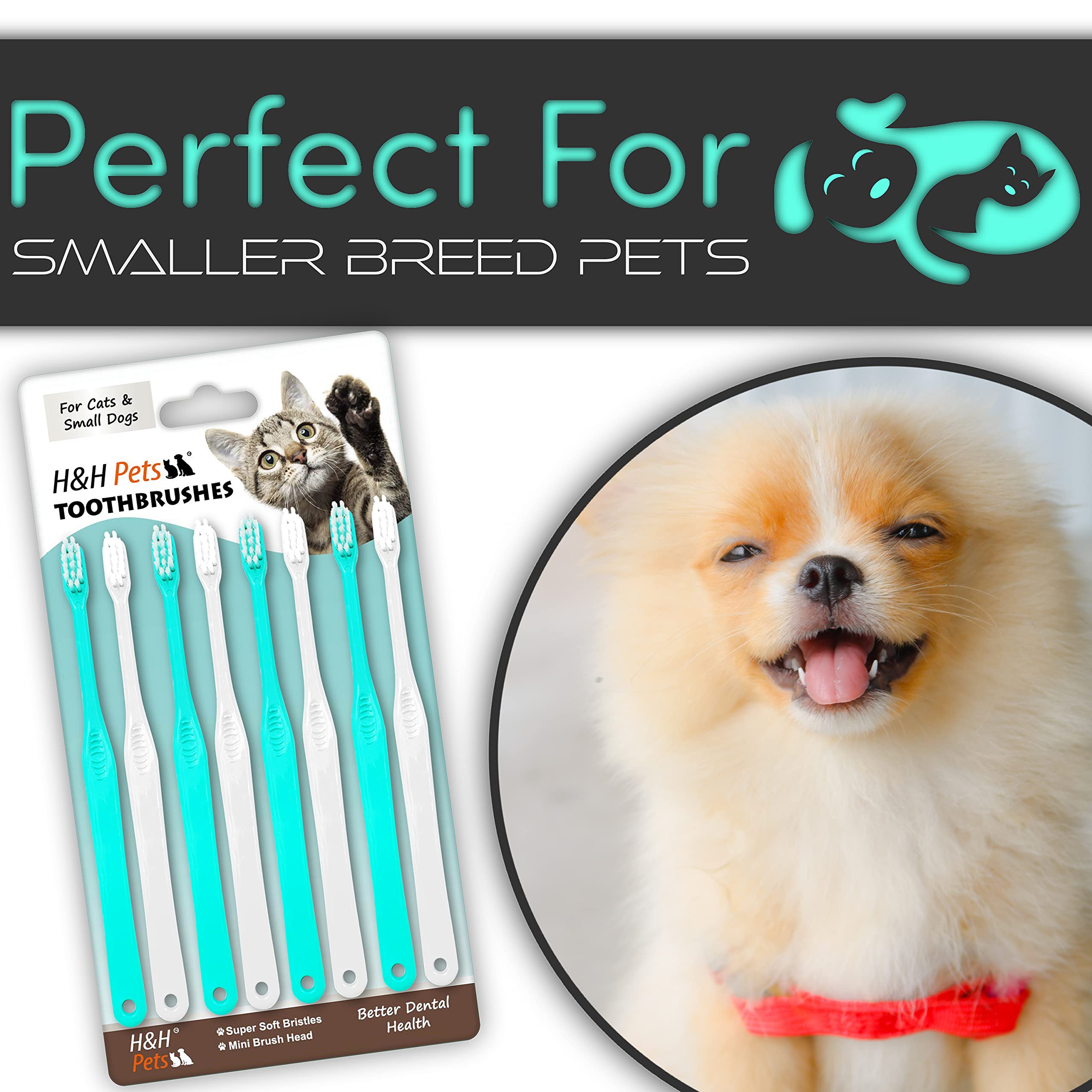 H&H Pets Toothbrush for Small Dogs & Cats - Soft and Small Toothbrush Designed for Cats, Puppies, and Small Breed Dogs Like Teacups, Chihuahuas, Yorkshire, and Poodle, 8 Count Pack