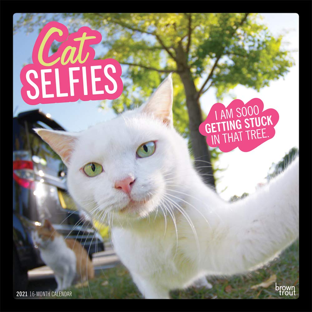 Cat Selfies 2021 Calendar