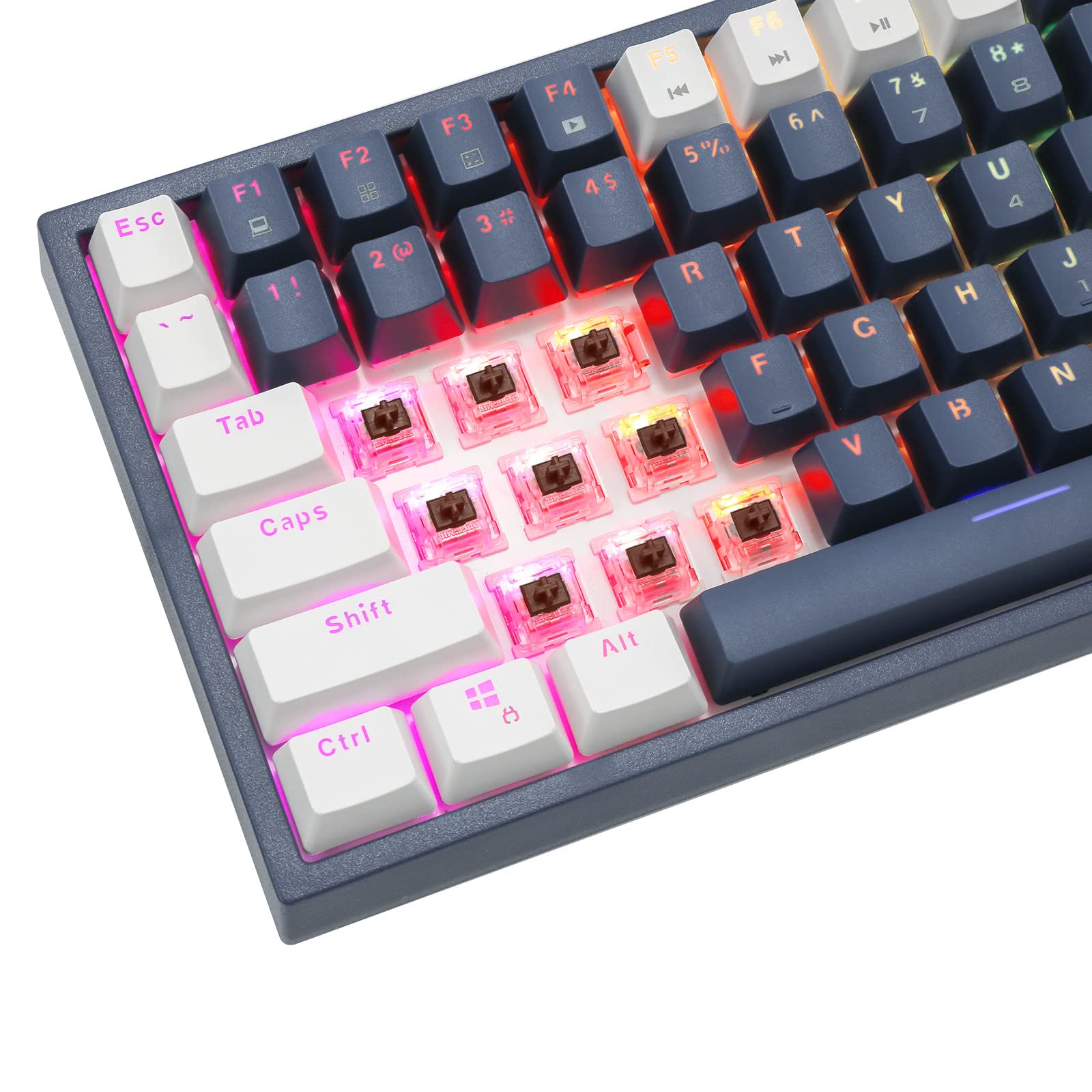 Chuangquan CQ84 Gaming Mechanical Keyboard, programmable RGB Backlight, 84 Keys Compact Keyboard, 60% Keyboard for Windows Tablets, Laptops, Desktops, Blue and White Keycaps(Brown Switch