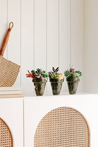 miltonson Artificial Succulent Plants - 18 Pack - Premium Fake Plants - Double Flocked Succulents - Realistic Textured Cactus - Face Succulent Plants - Mini Faux Succulents - Face Plant Decor
