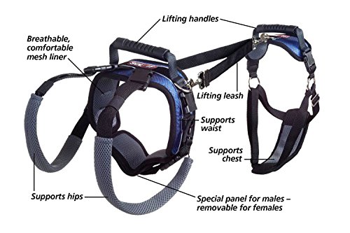 PetSafe CareLift Support Harness - Full Body Dog Lift Harness with Handle & Shoulder Sling - Great for Elderly Dogs, Hip Dysplasia, ACL Surgery - Designed to Help Them Up - Adjustable - Large