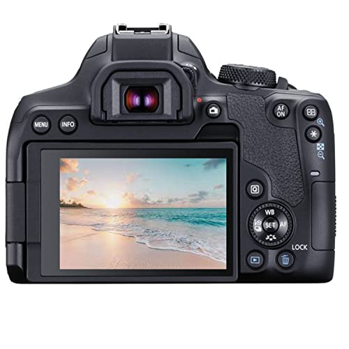 Canon EOS Rebel T8i DSLR Camera Bundle with 18-55mm STM Lens, Tripod, 64GB Memory Card, Battery, Carry Case, Filters, and Accessories