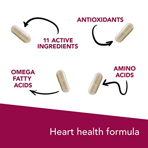 VETRISCIENCE - Cardio Strength, Cardiovascular and Circulatory Support Supplement for Dogs and Cats, 90 Capsules