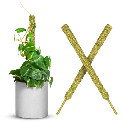 DUSPRO Forest Moss Pole, Small Moss Poles for Climbing Plants Monstera, Non-Bendable Shagnum Moss Stick for Monstera Plant Support Perfect for Small Mini Plant Growth 2 Pcs 17"