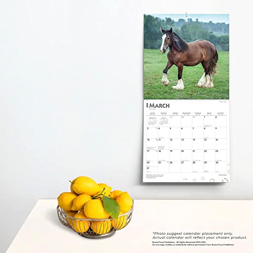 Clydesdales | 2024 12 x 24 Inch Monthly Square Wall Calendar | BrownTrout | Animals Horses