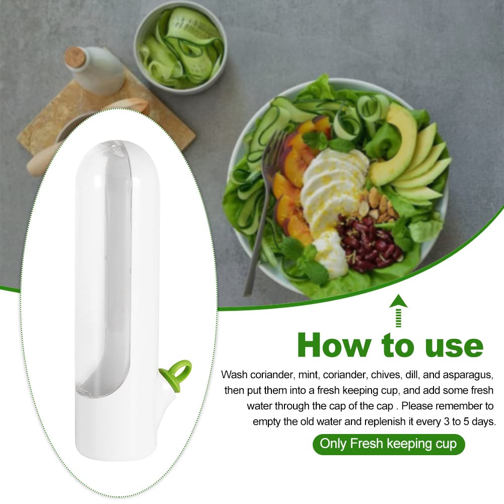 Fresh Herb Keeper, Herb Savor Pod,Herb Storage Container Keeps Greens Fresh Herb Saver Asparagus Keeper Practical Kitchen Tools for Cilantro,Mint,Parsley(1pc)