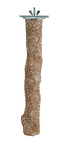 Prevue Pet Products Pacific Perch Beach Branch Small 1010