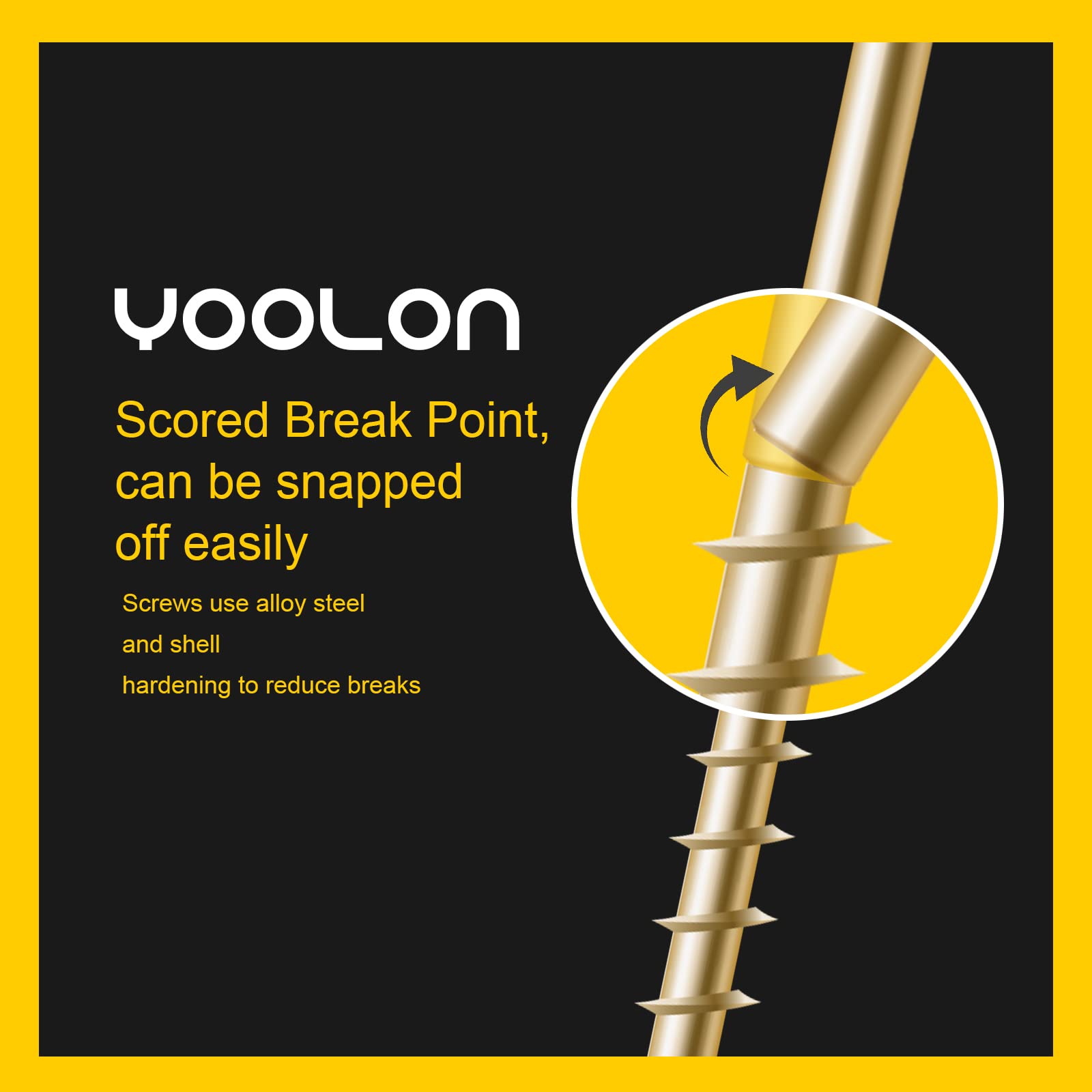 Floor Screws/Nails, Floor Repair Kit, 125 Pack Replacement Screws, Eliminate Floor Through Carpet