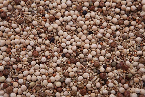 No Corn Flyer Pigeon Mix (16%) 20 lbs