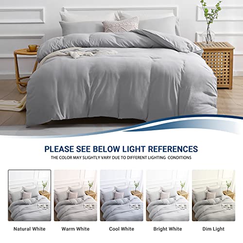 Sasttie Duvet Cover Set Queen Size, Light Grey Ultra Soft Prewashed, 3 Pieces, 1 Duvet Cover with Zipper Closure and Corner Ties (90''x90''), 2 Pillowcases (20''x 30'')