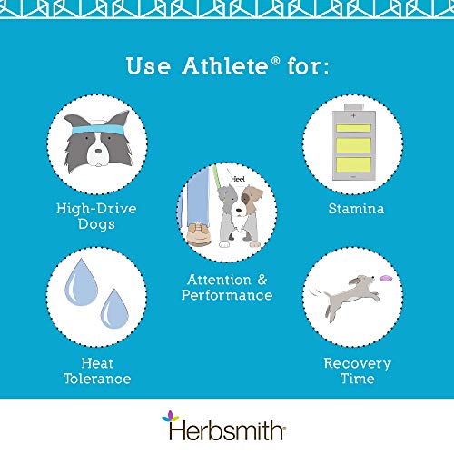 Herbsmith Athlete β Canine Endurance Supplement for Working and Agility Dogs β For the Canine Athlete β 75g Powder