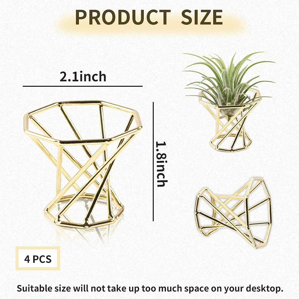 Bxxwin Air Plant Stand Container 4 Pcs Geometric Air Plant Container Airplant Display Racks for Office Desk(Gold)