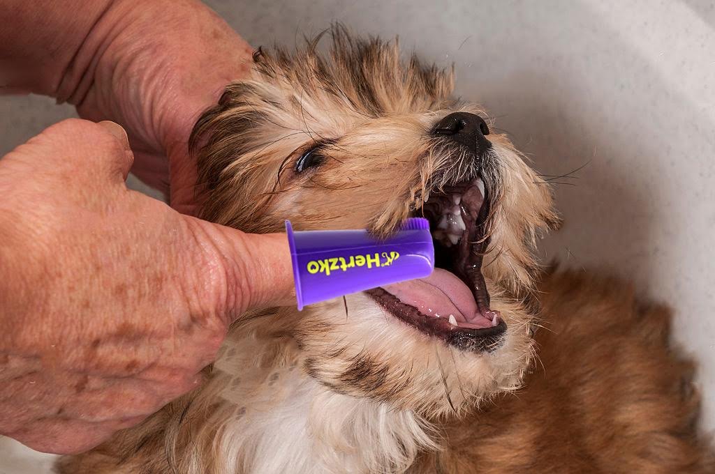 Hertzko Dog and Cat Finger Toothbrush 7-Pack for Small & Large Breeds - Advanced Oral Care, Easy Control - Dog Finger Toothbrush Small Breed Pink, Cat Toothbrush, Cat Finger Brush for Cats Teeth