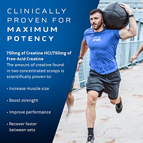 Creatine Powder | MuscleTech Cell-Tech Creactor | Creatine HCl Formula | Muscle Builder for Men & Women | Creatine HCl + Free-Acid Creatine | Creatine Supplements | Blue Raspberry Blast, 120 Servings