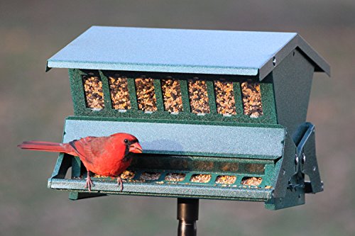 H-F Green Absolute II Two Sided Feeder With Windows