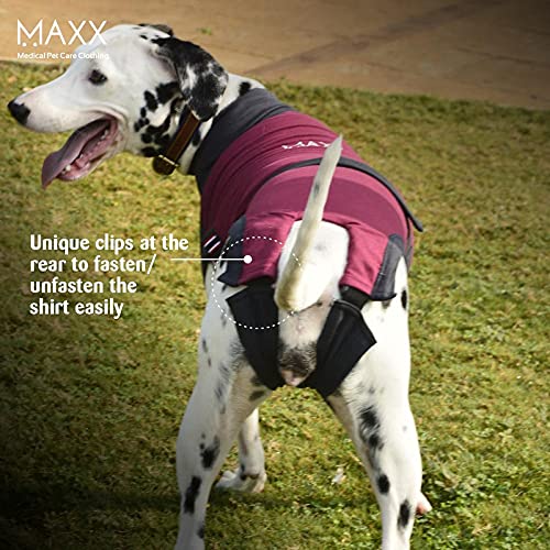 MAXX Recovery Suit for Dogs, E Collar Alternative, Post-Operative Onesie by Vet (Ruby Red Grey, M+)