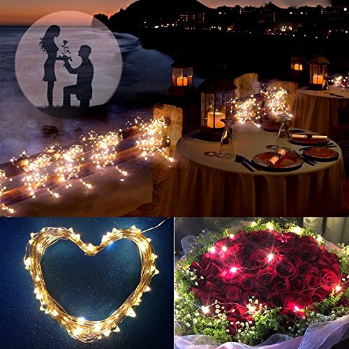 Solar String Lights 36FT 100LED,Waterproof Indoor Outdoor Lighting for Garden,Copper Wire 8 Modes Fairy Lights for Home Decor Patio Garden Party (Warm White)