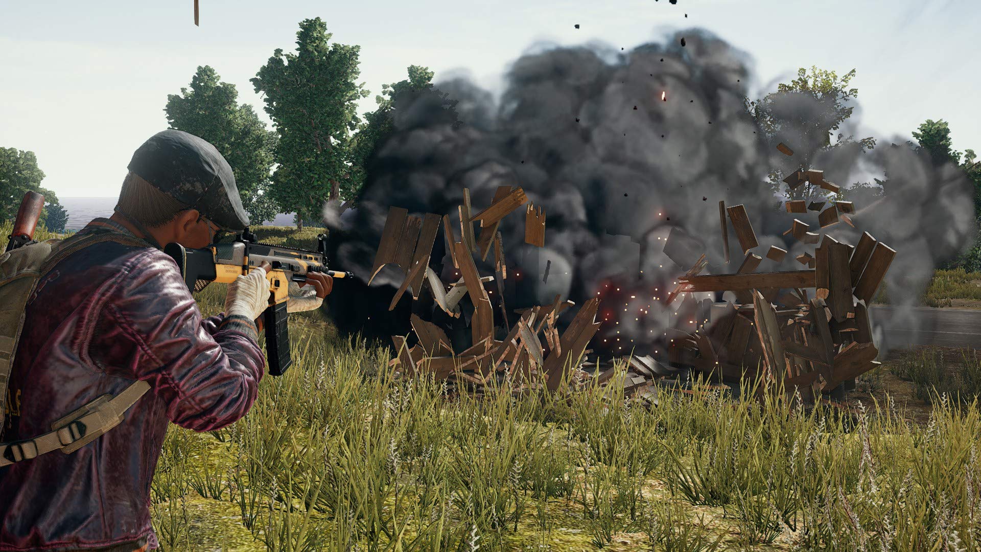 PLAYERUNKNOWN'S BATTLEGROUNDS (PS4)
