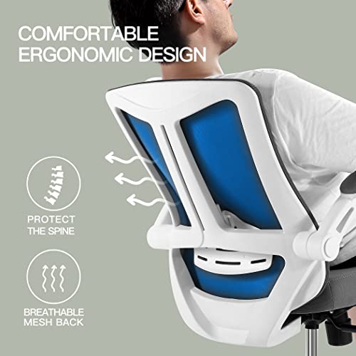 Eognyzie Home Office Desk Chairs with Ergonomic Adjustable Back Support, Mesh Computer Gaming Chair with Adjustable Ergonomic Lumbar Support for Home Office Work