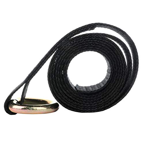 OCPTY 4 x Lasso Straps Wrecker Car Hauler Truck Tow Dolly Tire Wheel Tie Down Strap Black (2in. X 8ft.)