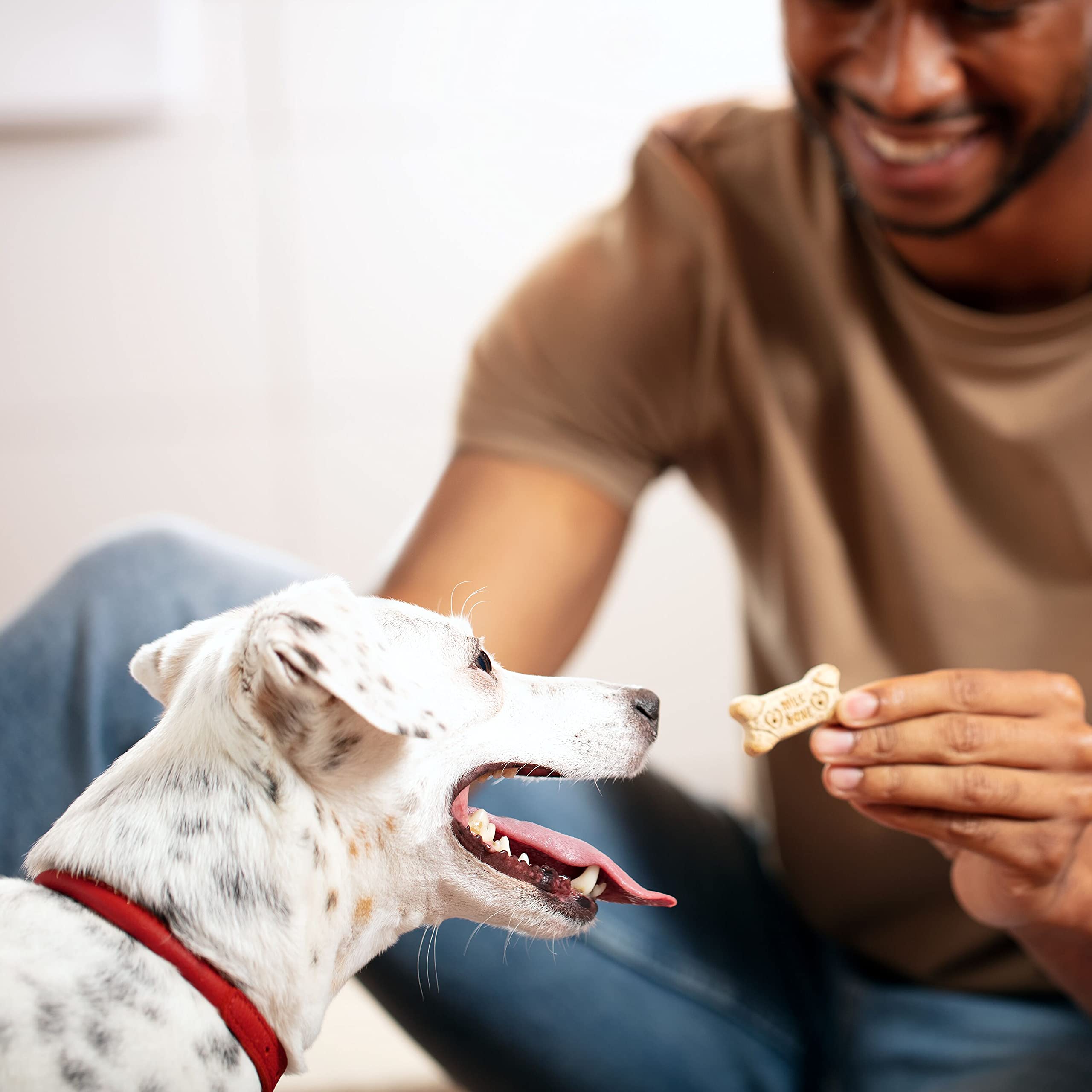Milk-Bone Mini's Original Dog Biscuits, 15 Ounce (Pack of 6)