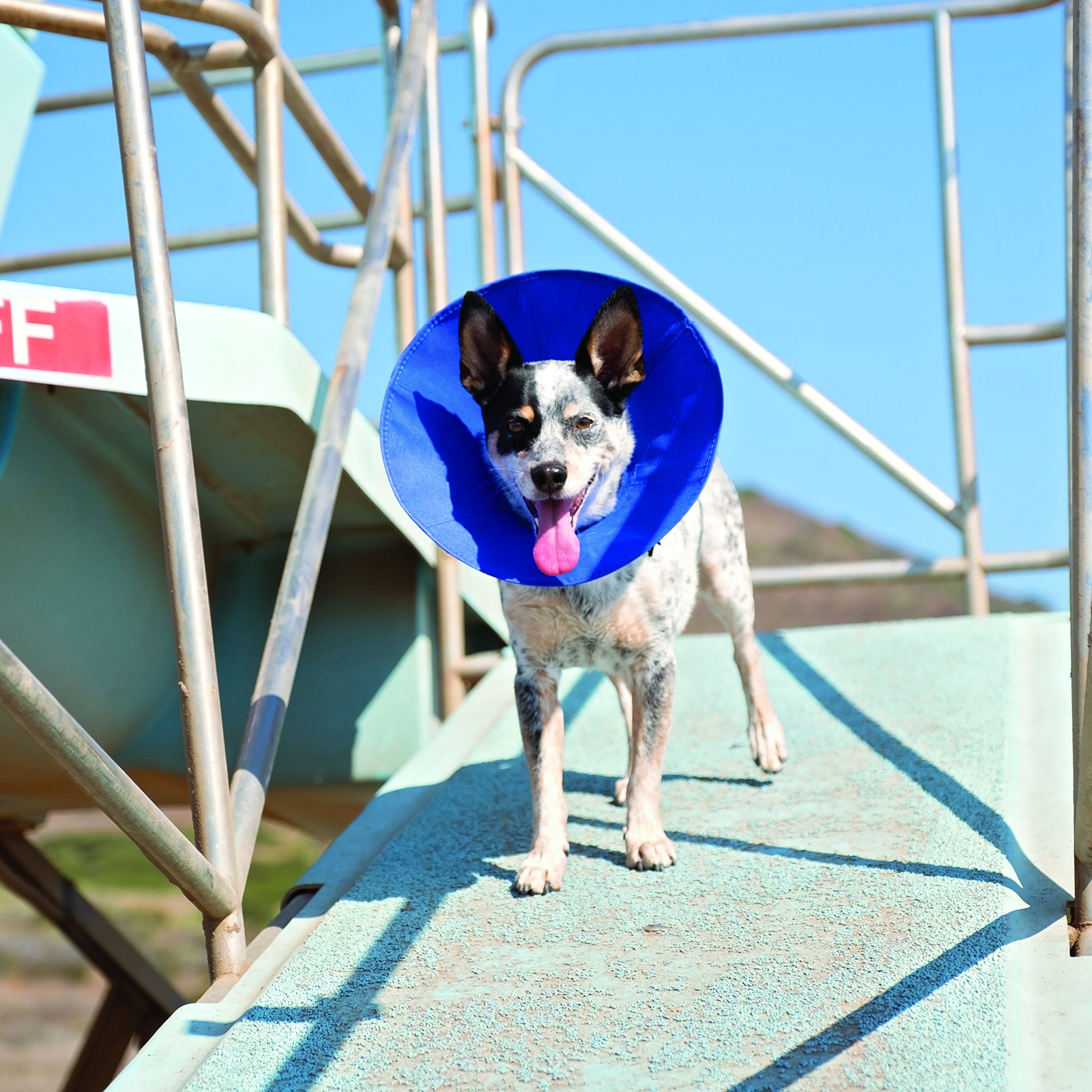 KONG EZ Soft Collar Pet Injury, Rash and Post Surgery Recovery Collar For Extra Small Dogs and Cats