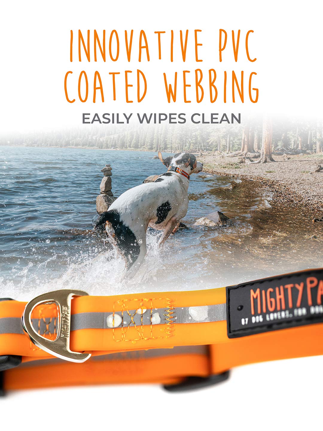 Mighty Paw Waterproof Dog Collar - Smell-Proof Active Gear - Reflective Stripe Coated Nylon Webbing - Waterproof Collar - Comfortable Dog Collar for All Dog Breeds - Dog Collar Durable (Green, Small)