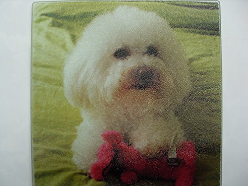 Direct2home 8x8 Bichon Frise Kitchen Counter Art Tempered Glass Cutting Board Surface Saver Bar Prep