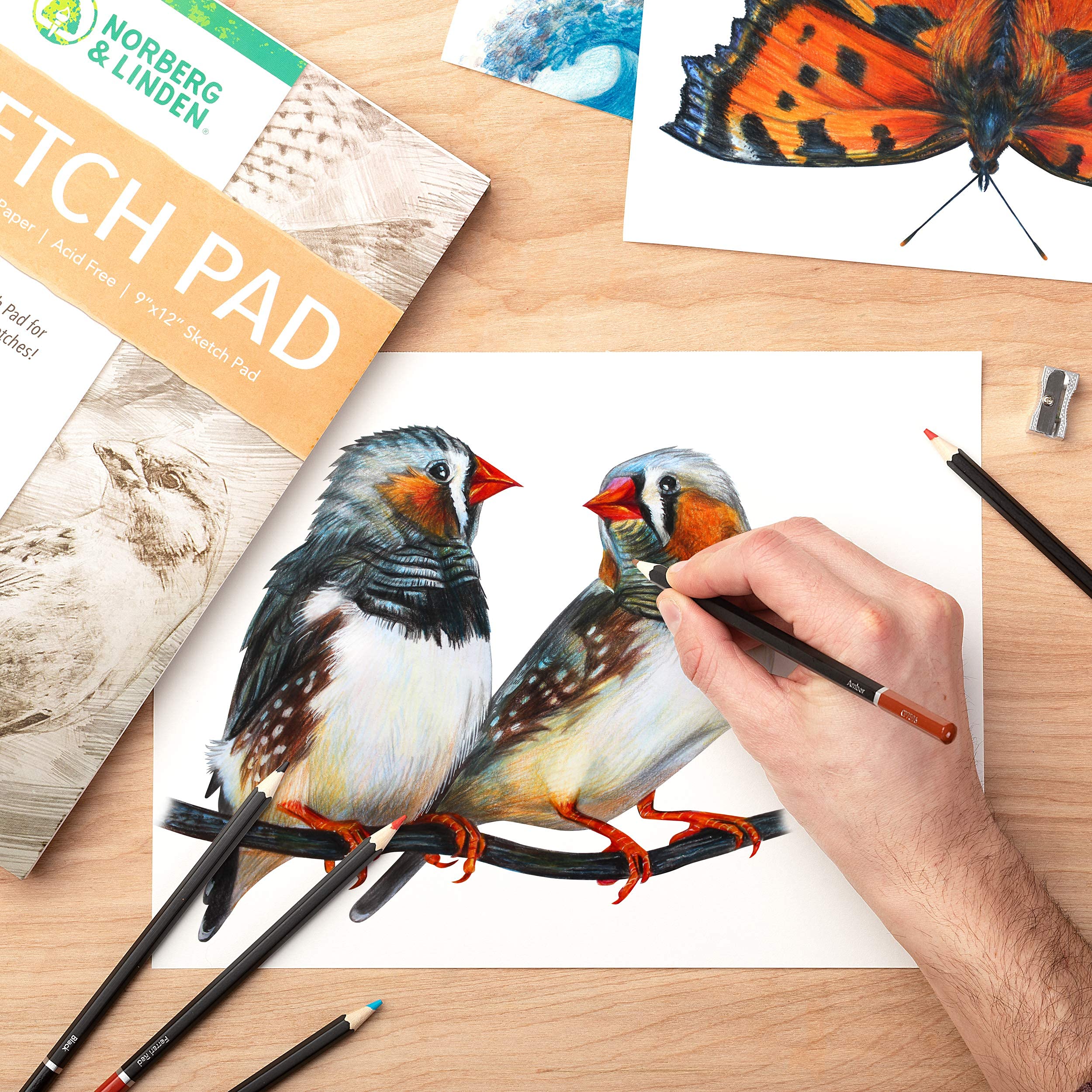 Watercolor Paint set 36 Premium Paints-12 Page pad - 6 Brushes Bundle with 2 Pack Sketch Pad