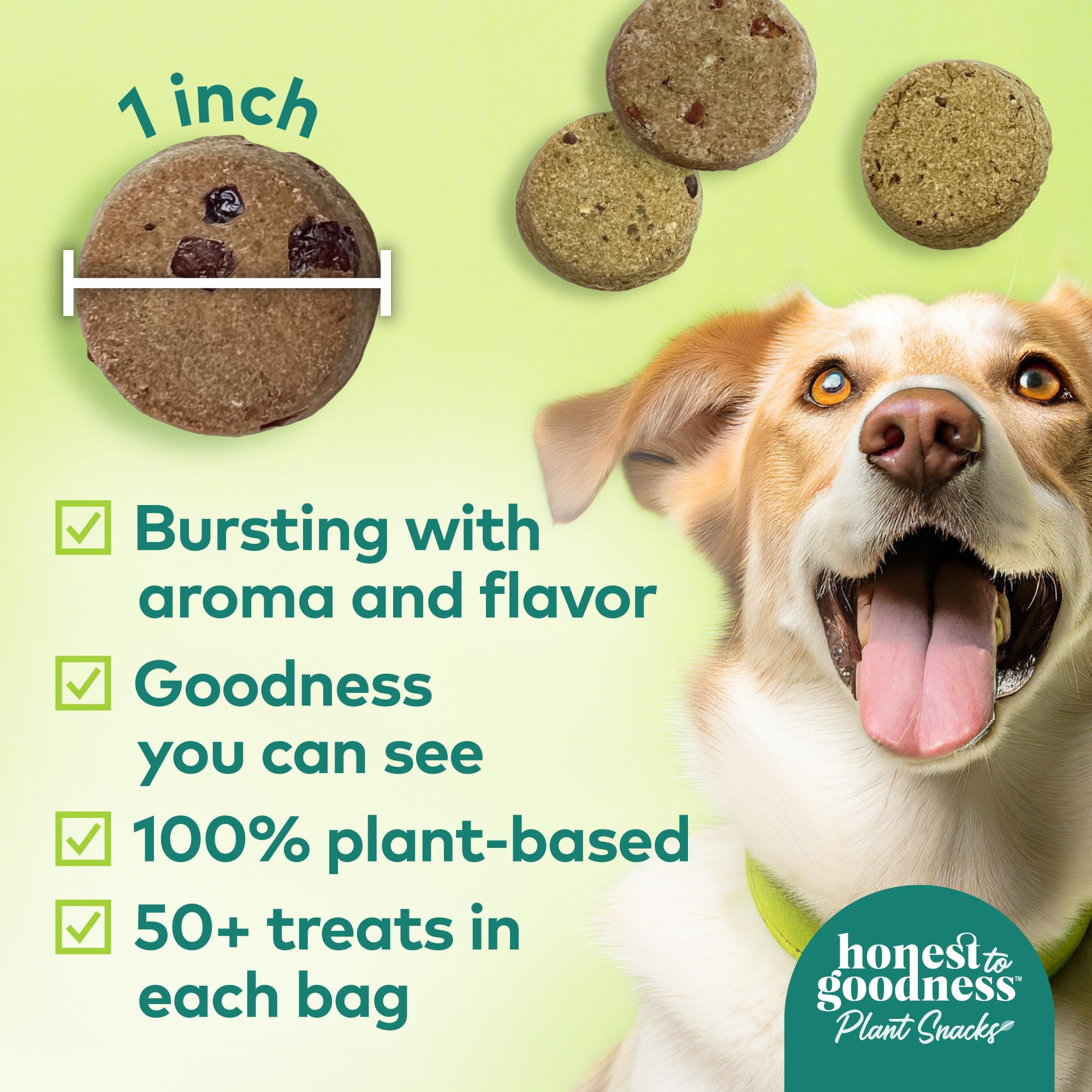 Honest to Goodness Plant Snacks Dog Treats, Enriched with Omega 3s & Postbiotics, 8oz Variety Pack, 4 Bags