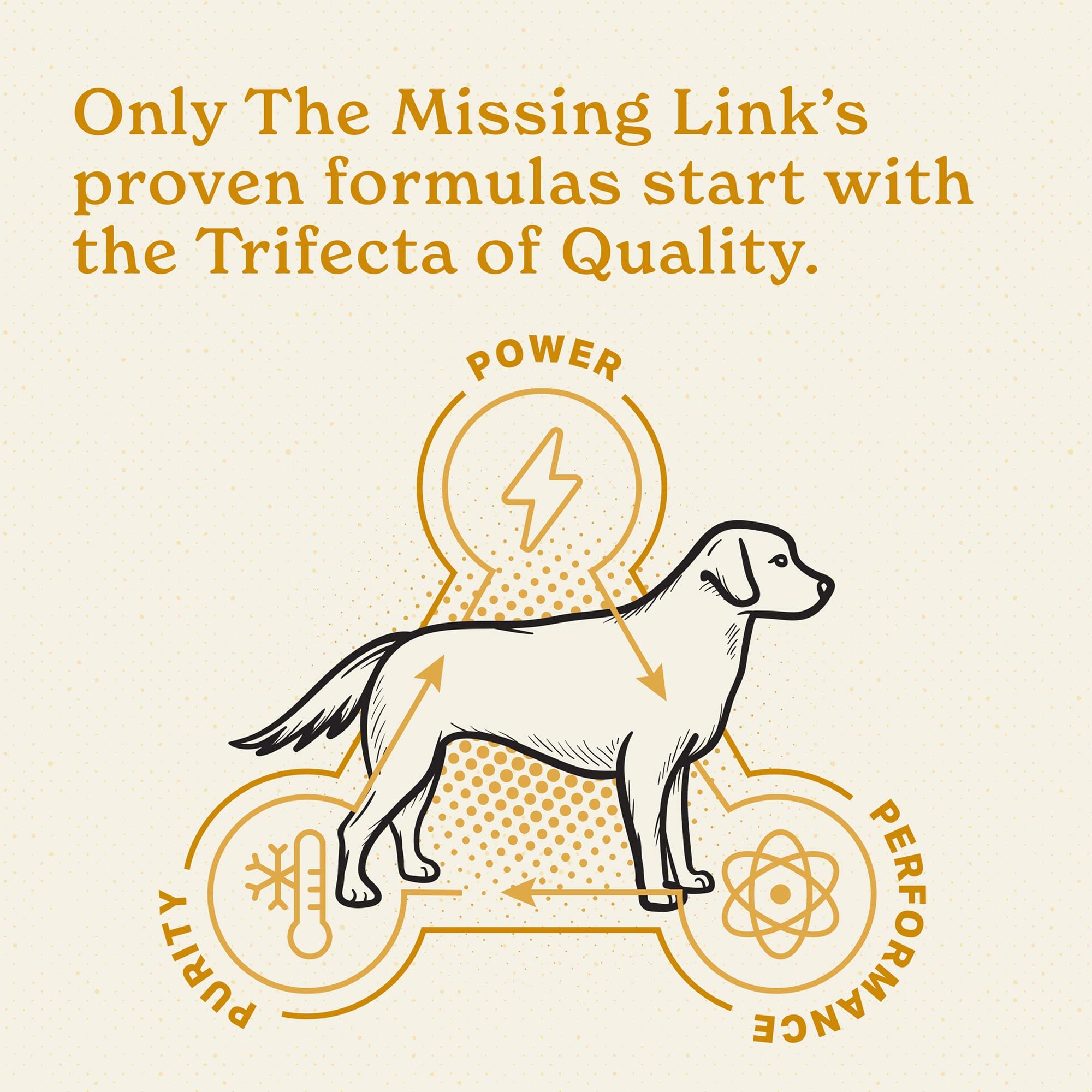 Missing Link Ultimate Skin and Coat Dog Supplement, 1 Pound each (Pack of 3)