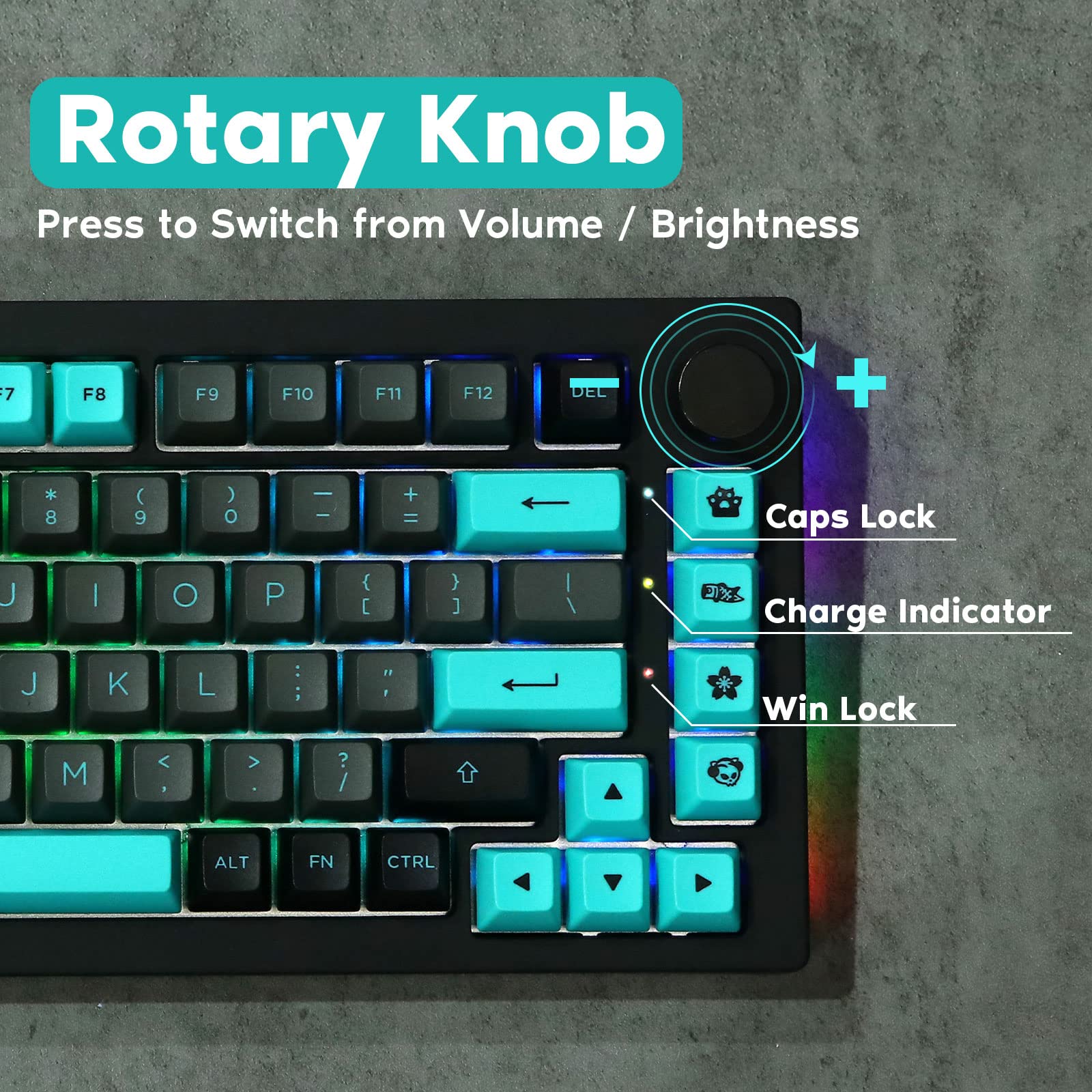 EPOMAKER AKKO 5075B Plus Gasket Hot Swap Mechanical Gaming Keyboard, 2.4GHz/Bluetooth 5.0/USB-C Wired PC Keyboard, with Poron Foam, Knob Control, Side RGB, Dual Plate for Win/Mac/Linux(Cyan, Silver)