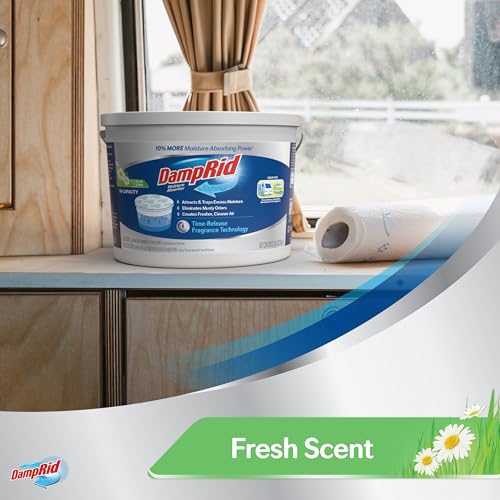 DampRid Hi-Capacity Moisture Absorber Bucket, Fresh Scent, 2 lb. 15.5 oz. & Moisture Detection Strip (2 Pack), Attracts & Traps Excess Moisture