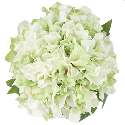 Pure Garden Hydrangea Floral Arrangement in Vase - 5-Count Artificial Flowers with Leaves in Faux Water-Filled Decorative Clear Glass Bowl (Green)