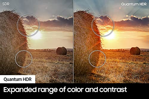 SAMSUNG QN50QN90CAFXZA 50 Inch Neo QLED Smart TV with 4K Upscaling with an Additional 2 Year Coverage (2023)