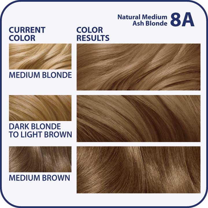 Clairol Nice'n Easy Liquid Permanent Hair Dye, 8A Medium Ash Blonde Hair Color, Pack of 3